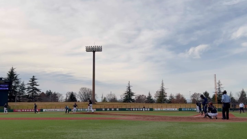 BASEBALL | 株式会社Y-plant